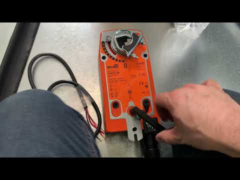 Belimo-ing into Spring: How one can Create Your Actuator Work